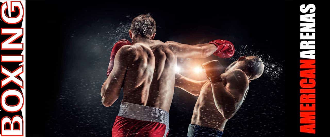 The Most Anticipated Fights in 2023: UFC, MMA, Boxing