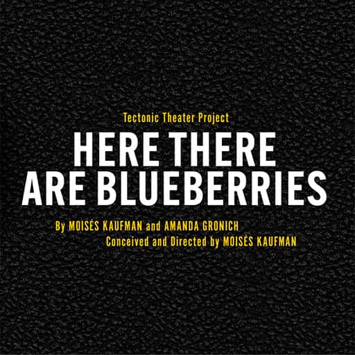 Here There Are Blueberries Tickets | Shows 2026/2027