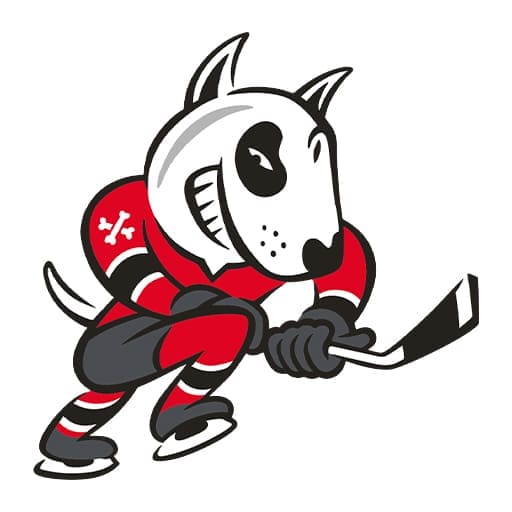 Niagara IceDogs Tickets | CHL Schedule 2026–2027